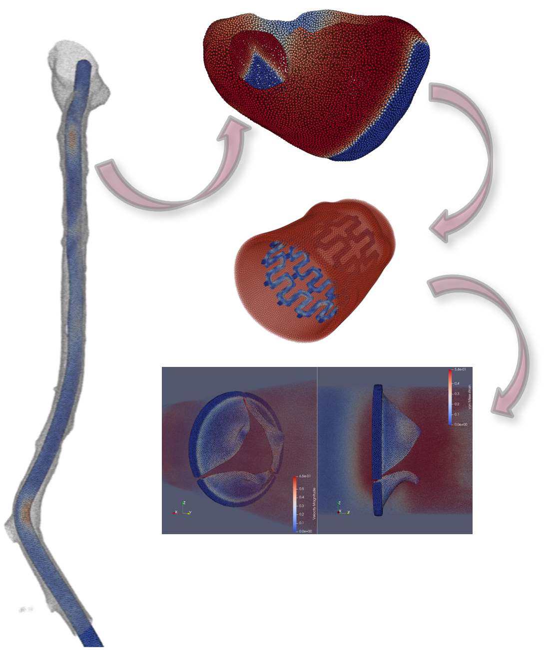 In silico trials with Virtonomy's product v-Patients - Virtonomy.io