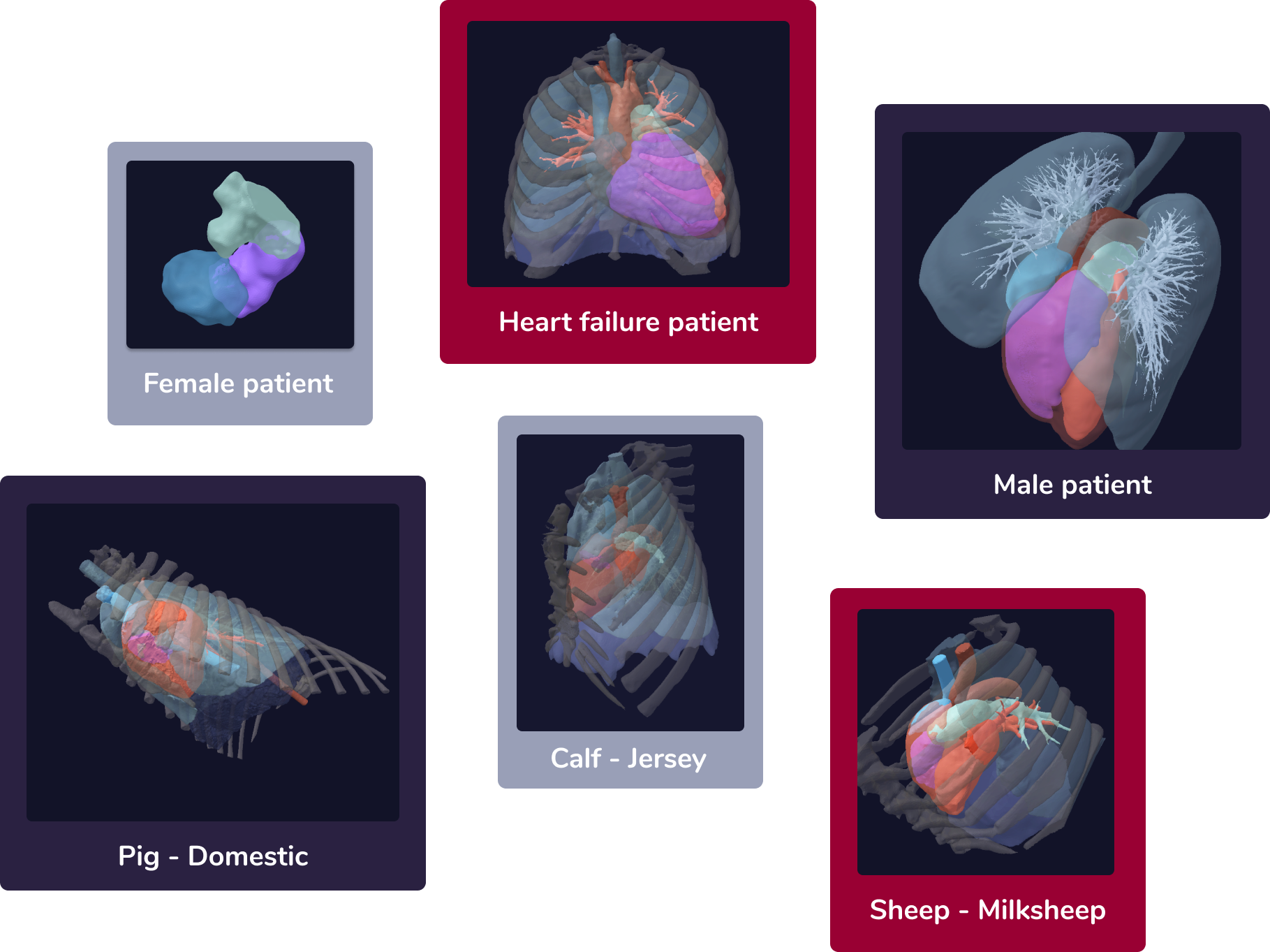 In silico trials with Virtonomy's product v-Patients - Virtonomy.io