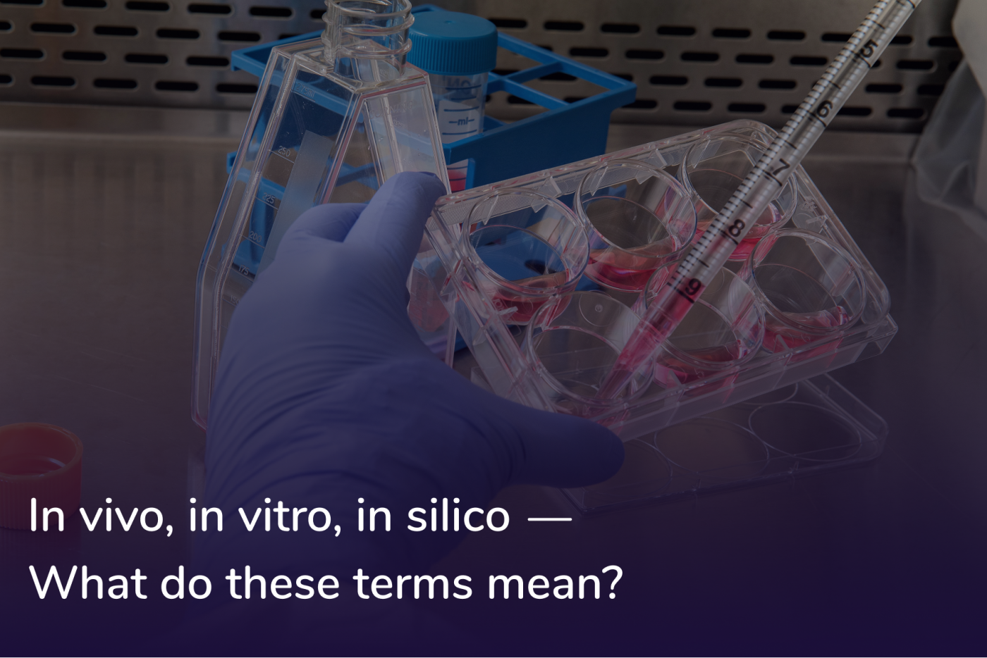 Virtonomy publications - Virtonomy.io