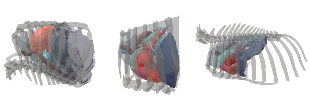 Customer Success Story: Using v-Patients to Ensure Positive Outcome of ...